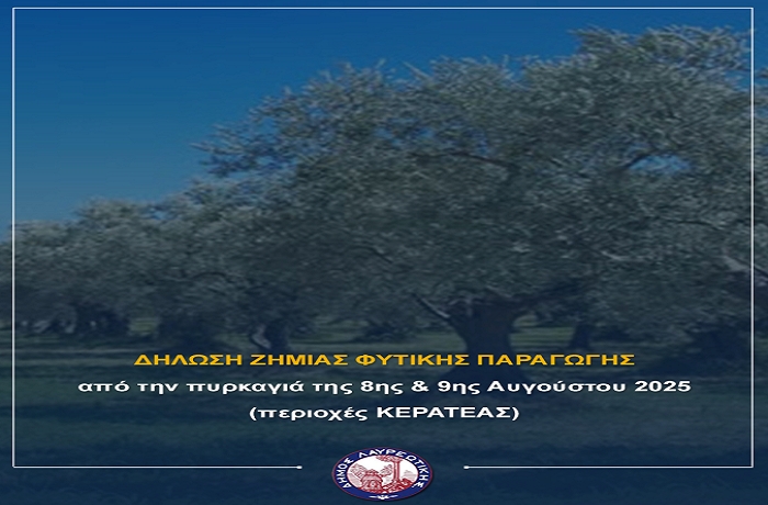 Δήμος Λαυρεωτικής: Δήλωση ζημίας φυτικής παραγωγής από την πυρκαγιά της ...